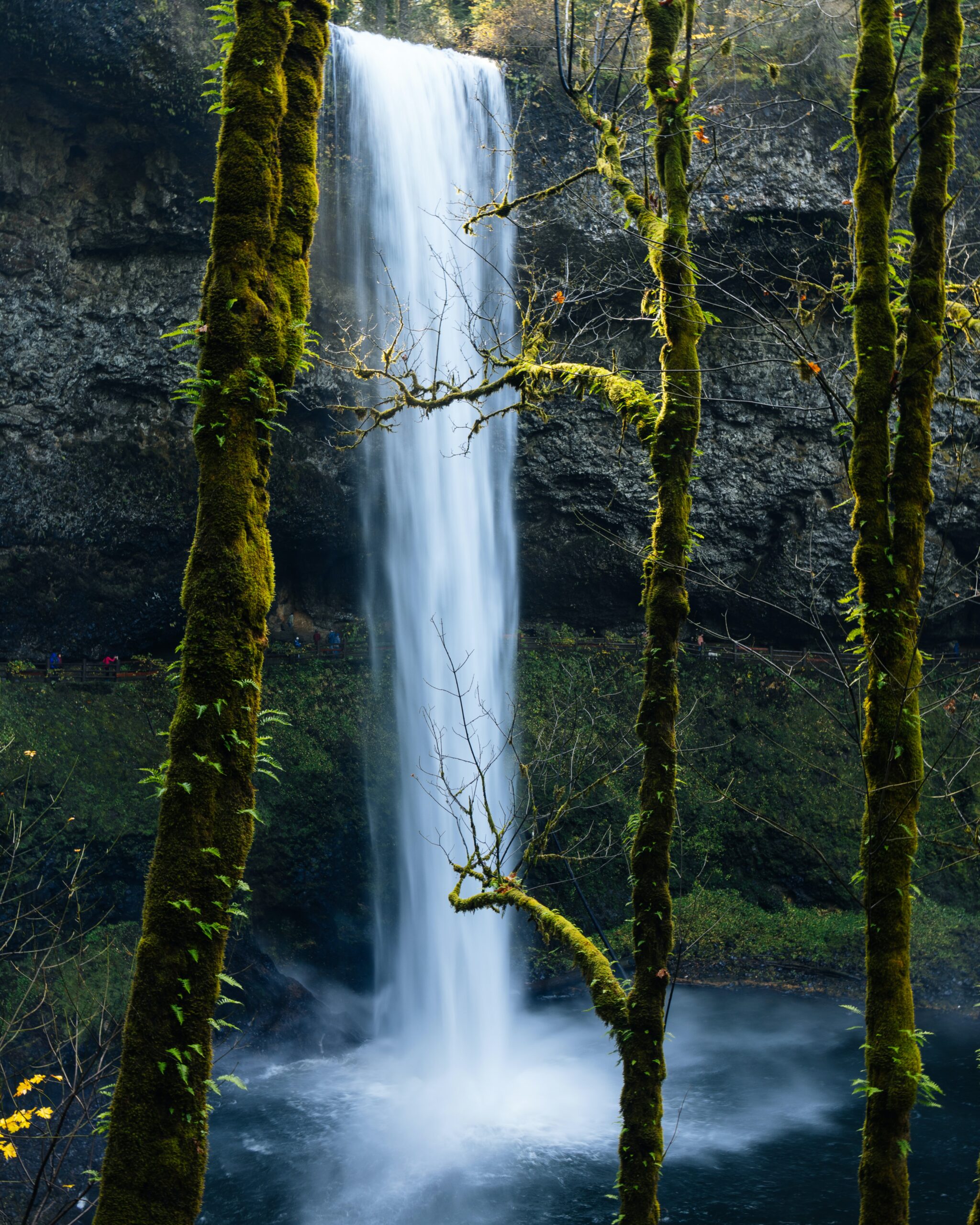 20+ Breathtaking Waterfalls In Oregon To Check Out Right Now