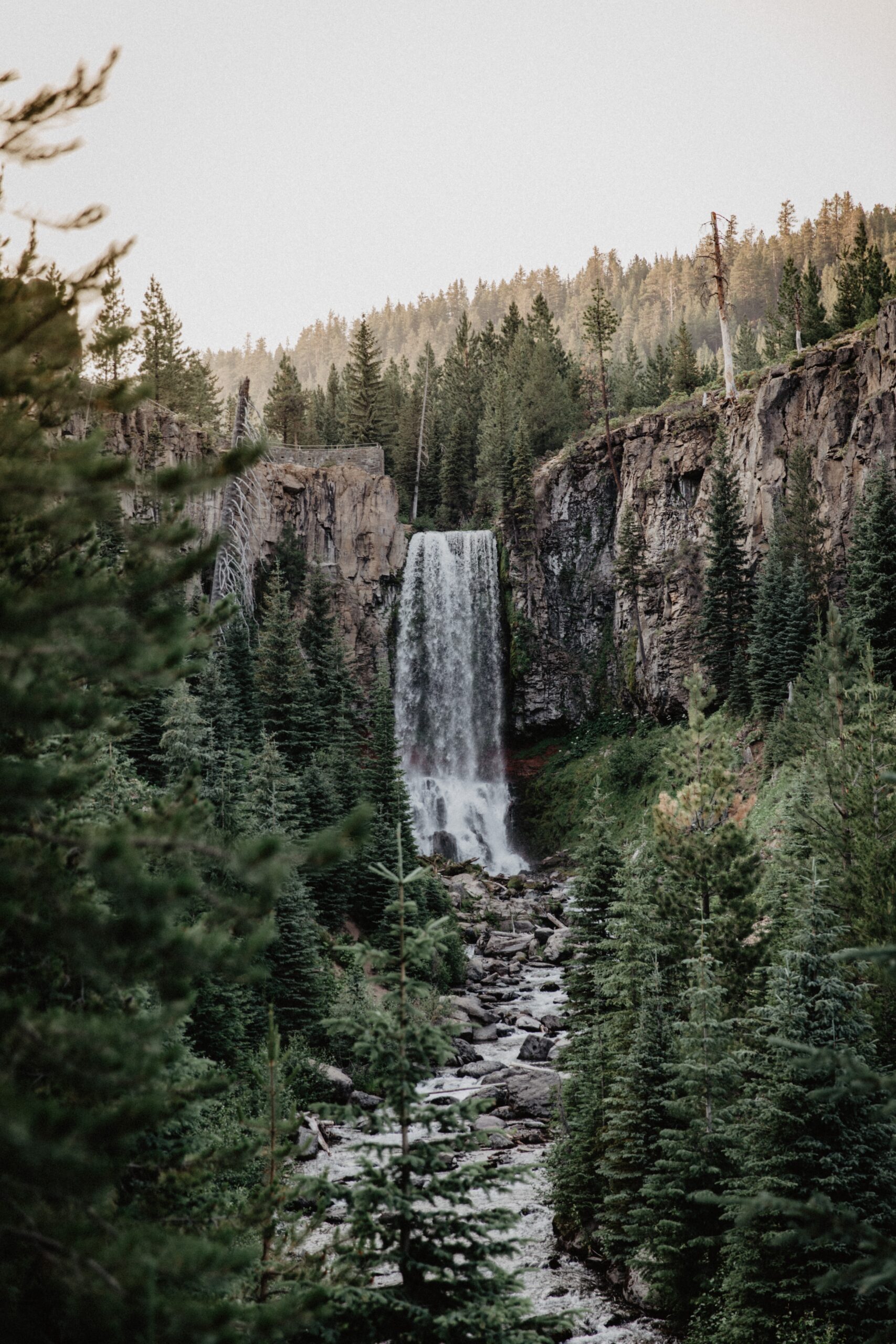20+ Breathtaking Waterfalls In Oregon To Check Out Right Now