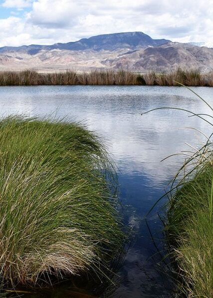 20 Incredible Hot Springs in Nevada - The Wild Trek