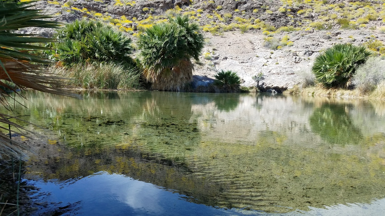 20 Incredible Hot Springs in Nevada - The Wild Trek