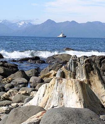 The Best 16 Islands In Alaska You Have To Visit - The Wild Trek