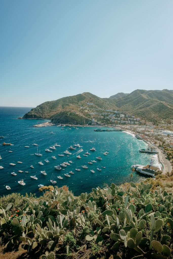 19+ Gorgeous California Islands To Visit - The Wild Trek