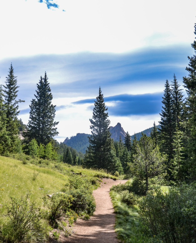 The 15+ Best Hikes In Colorado Springs - The Wild Trek
