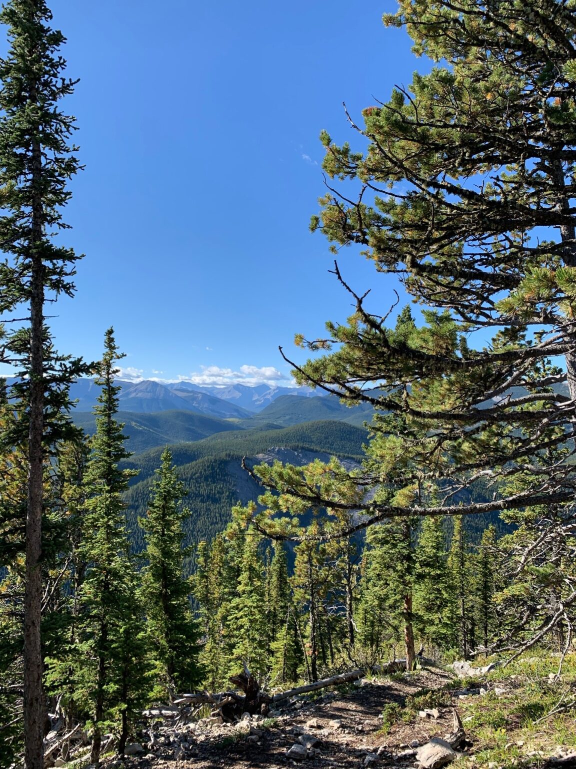 The 20 Most Beautiful Mountains In Oregon - The Wild Trek