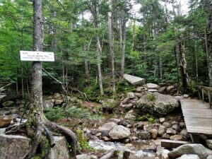 Hiking Mount Lafayette, Franconia Ridge Trail Loop In New Hampshire ...