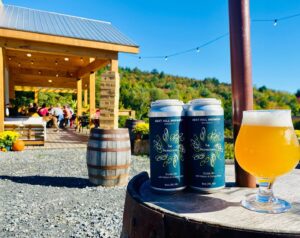 The 28 Best Breweries in Vermont For Amazing Brews - The Wild Trek
