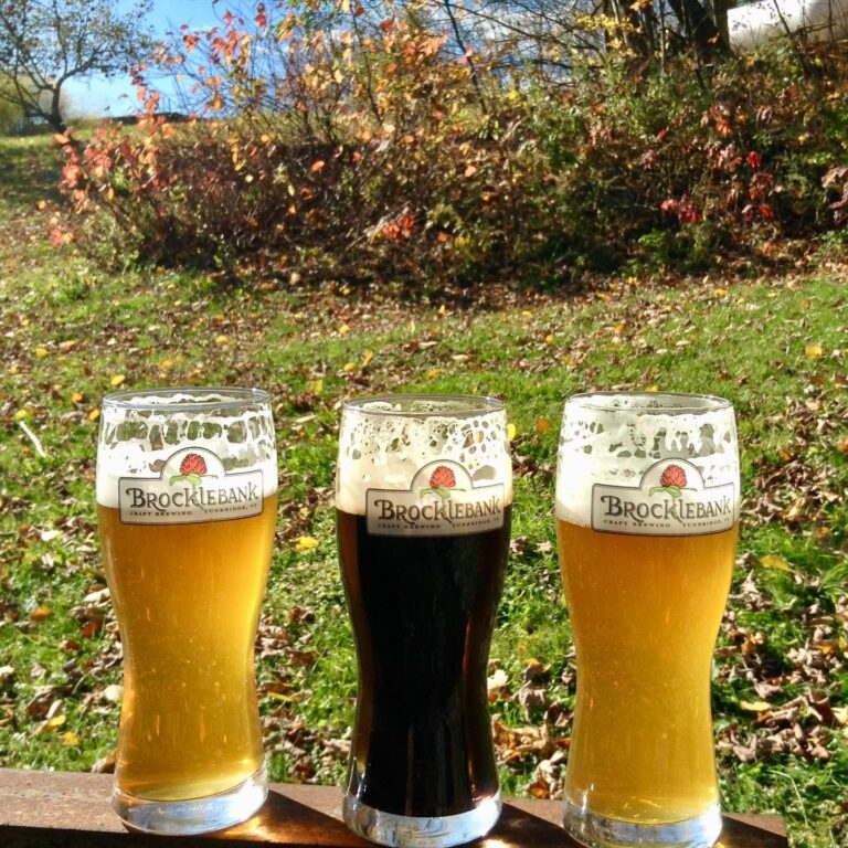 The 28 Best Breweries in Vermont For Amazing Brews - The Wild Trek