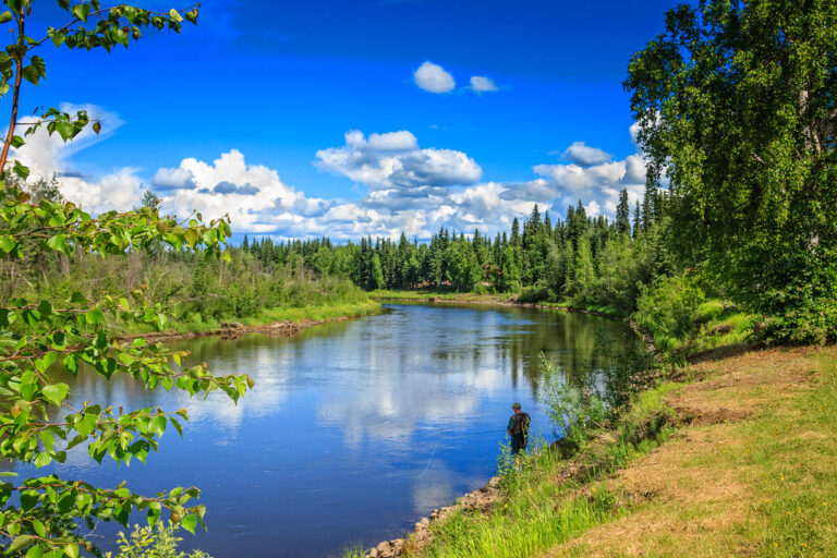 The 13 Most Gorgeous Rivers in Alaska for Fishing, Swimming, & Stunning ...