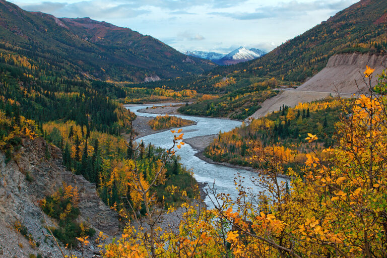 The 13 Most Gorgeous Rivers in Alaska for Fishing, Swimming, & Stunning ...