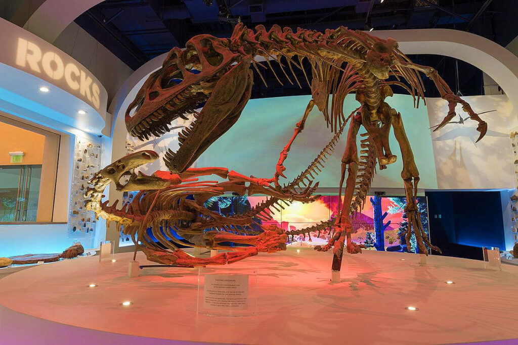 The 14 Best Museums in Fort Worth to Visit - The Wild Trek