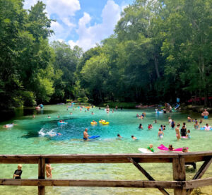 14 Completely Natural Hot Springs In Florida - The Wild Trek