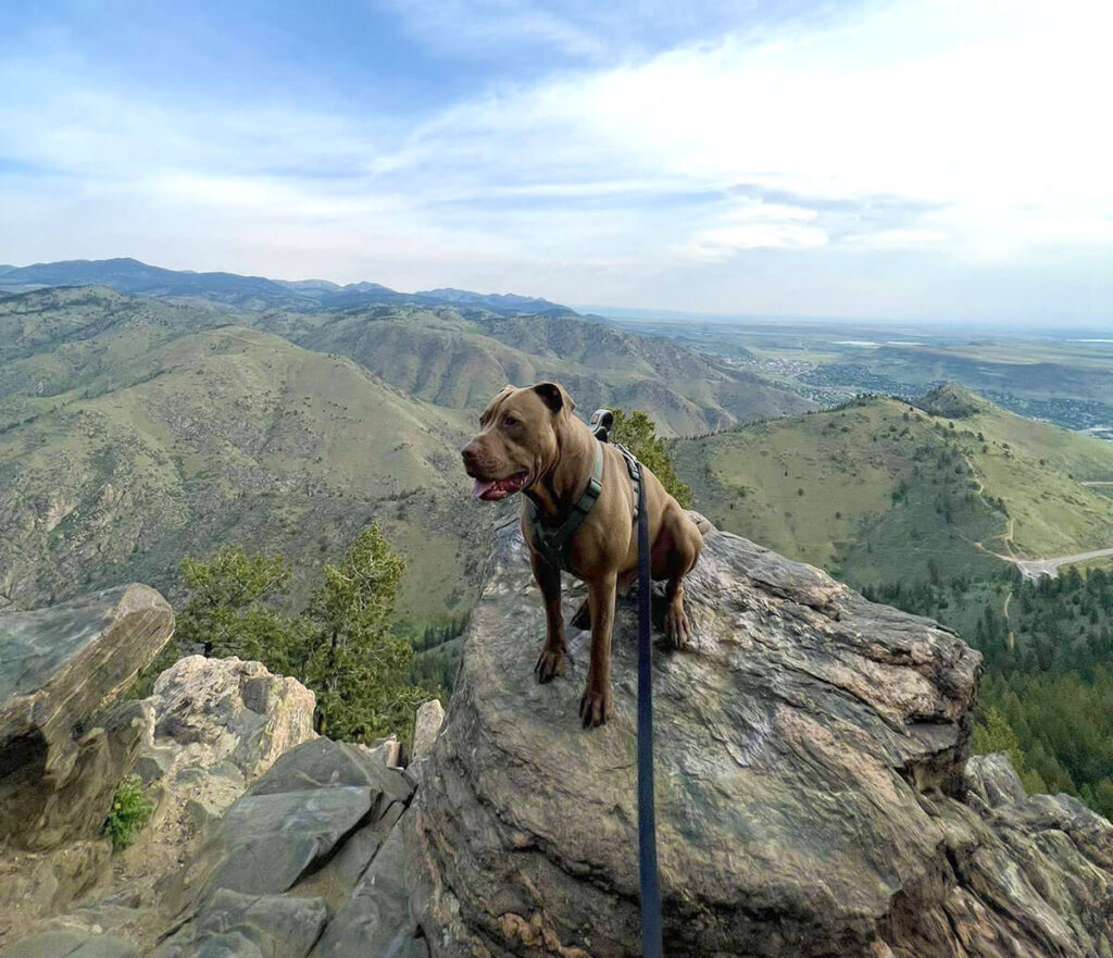 Ultimate Guide To Lookout Mountain Colorado: Hiking & Things To Do