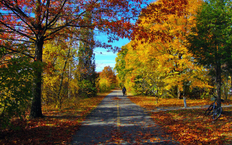 30+ Fun Things To Do In Boston In Fall - The Wild Trek