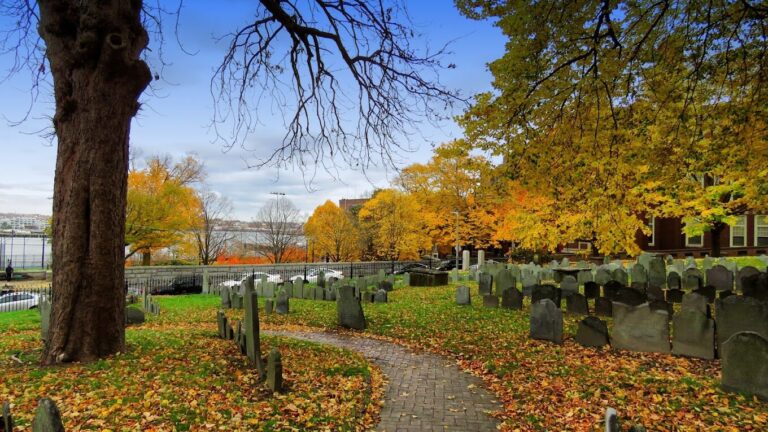30+ Fun Things To Do In Boston In Fall - The Wild Trek
