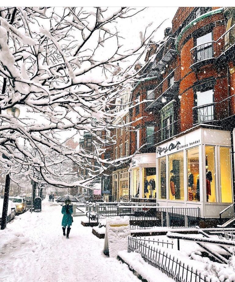 22+ Best Things To Do In Boston In The Winter From A Local